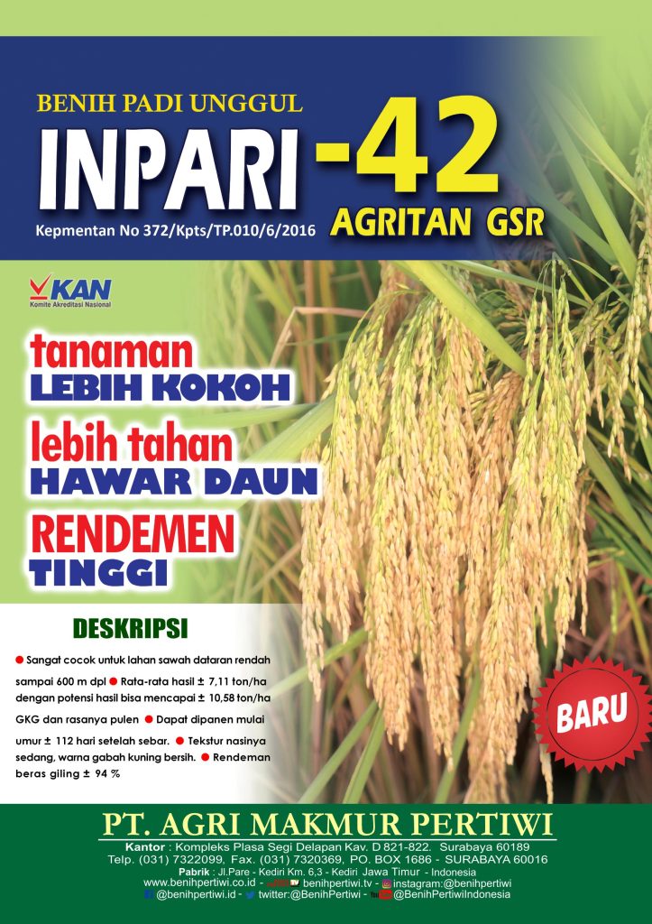 Padi – BENIH PERTIWI