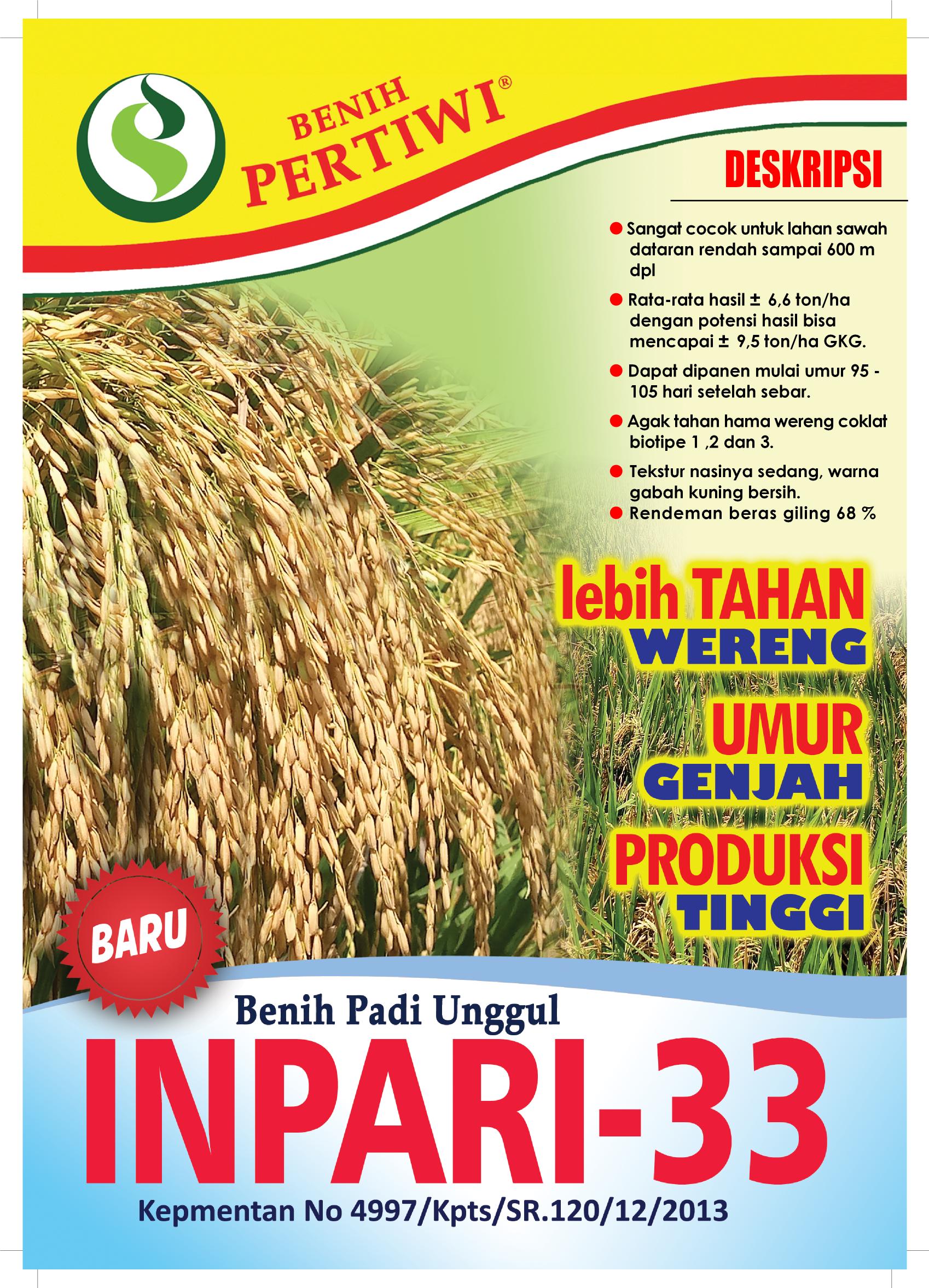 Padi Unggul Inpari 33 BENIH PERTIWI Padi Unggul Inpari 33 BENIH PERTIWI