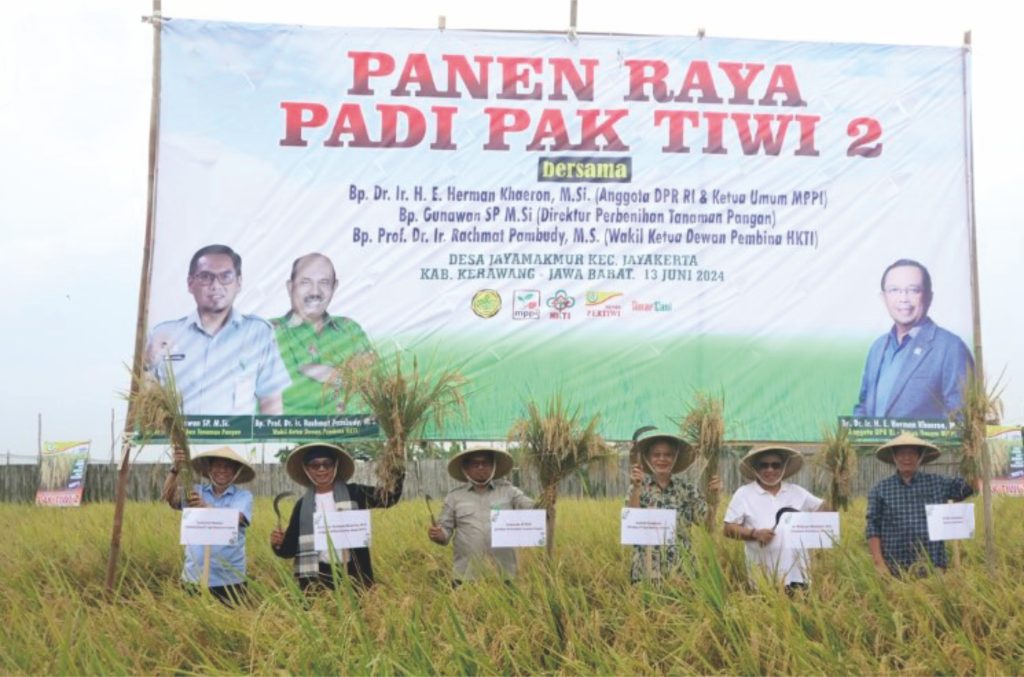 Panen Raya Padi Pak Tiwi 2 di Karawang, Terbukti Produktivitas Tinggi ...